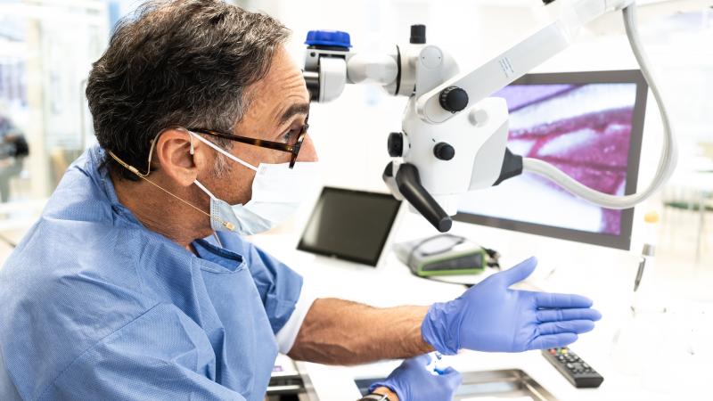 Colosseum Dental Group | Colosseum Dental Group